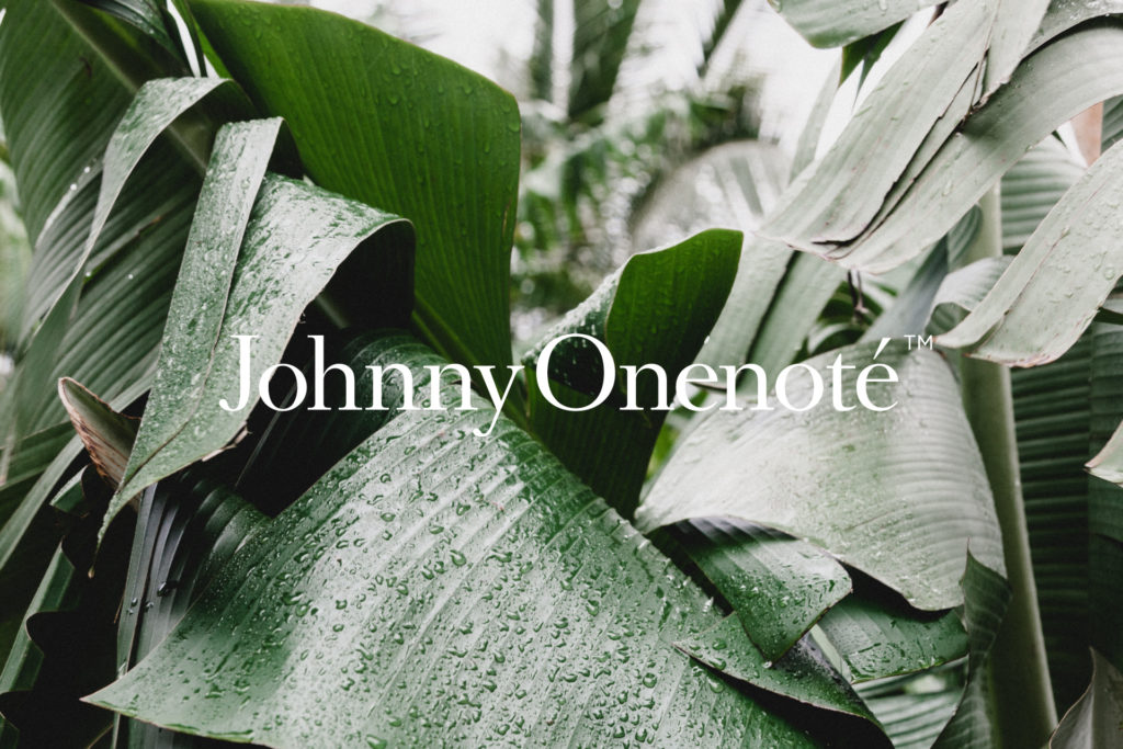 Yesterdays Inc. / Johnny Onenoté – qomunelab co.,ltd. – 株式会社コミューンラボ
